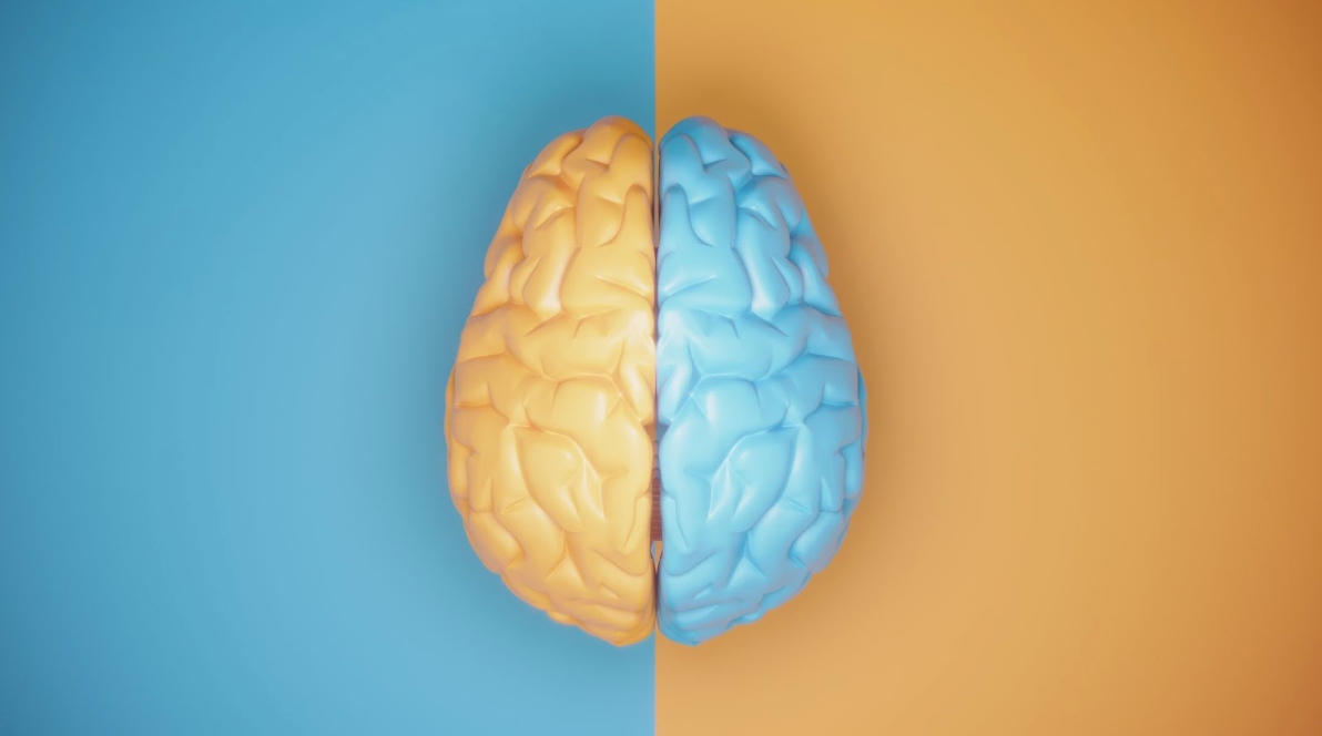 8 Ways to Keep Your Brain Active and Healthy – Activation Products